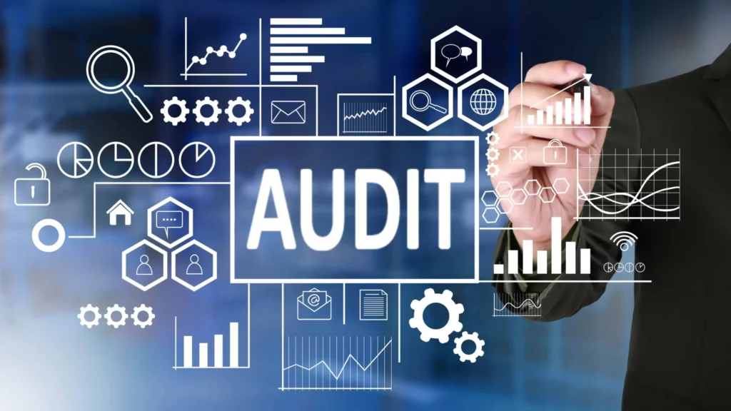 Comprehensive IT Audit Services for Digital Health Assessment